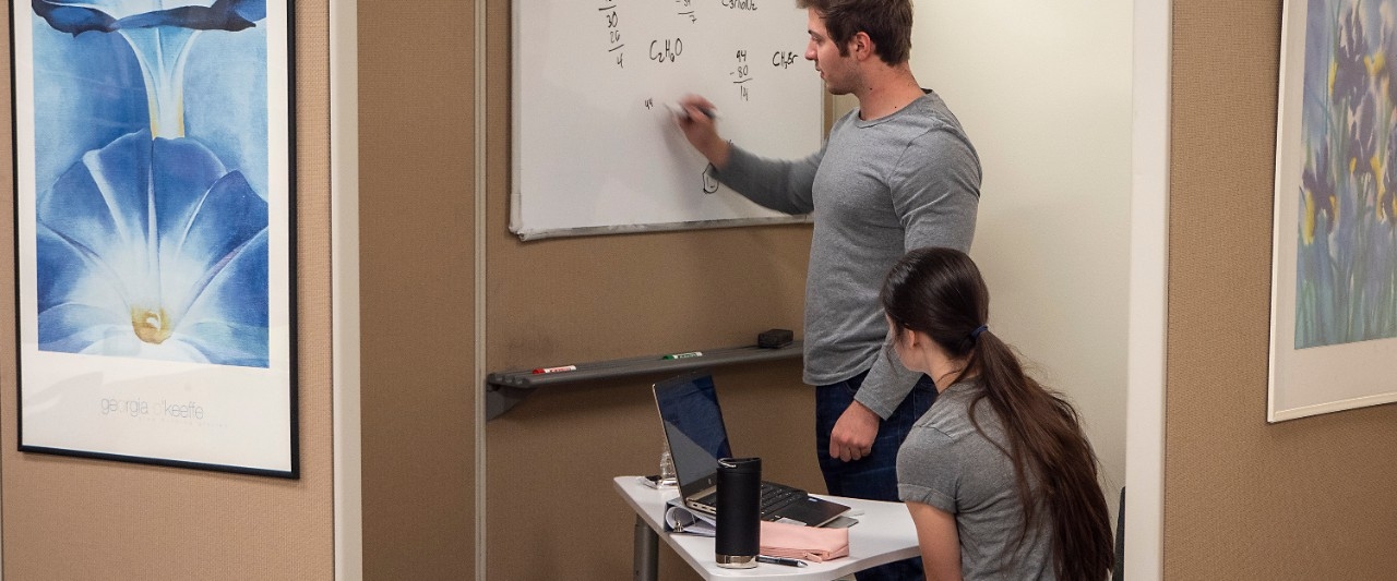 PLUS Tutoring: Northern Kentucky University, Greater Cincinnati Region